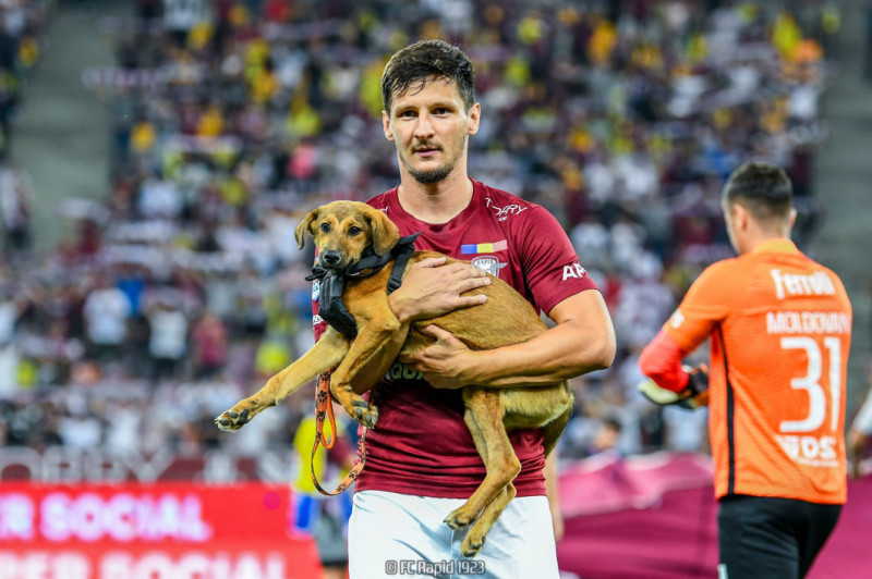 Protecția Animalelor CJ Ilfov duce mai departe proiectul Protecția Animalelor CJ Ilfov duce mai departe proiectul